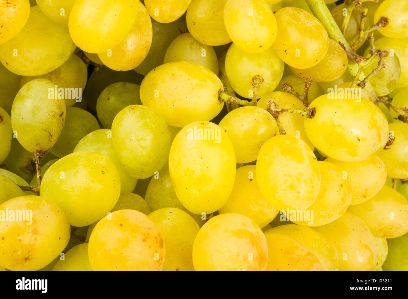 Large grapes cluster amber color on black background Stock Photo - Alamy