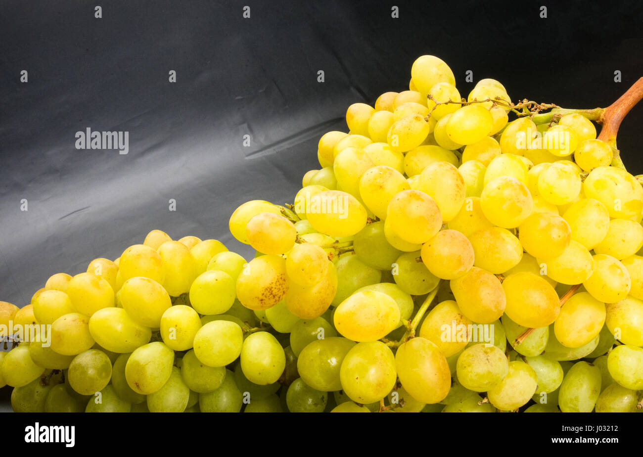 Large grapes cluster amber color on black background Stock Photo - Alamy