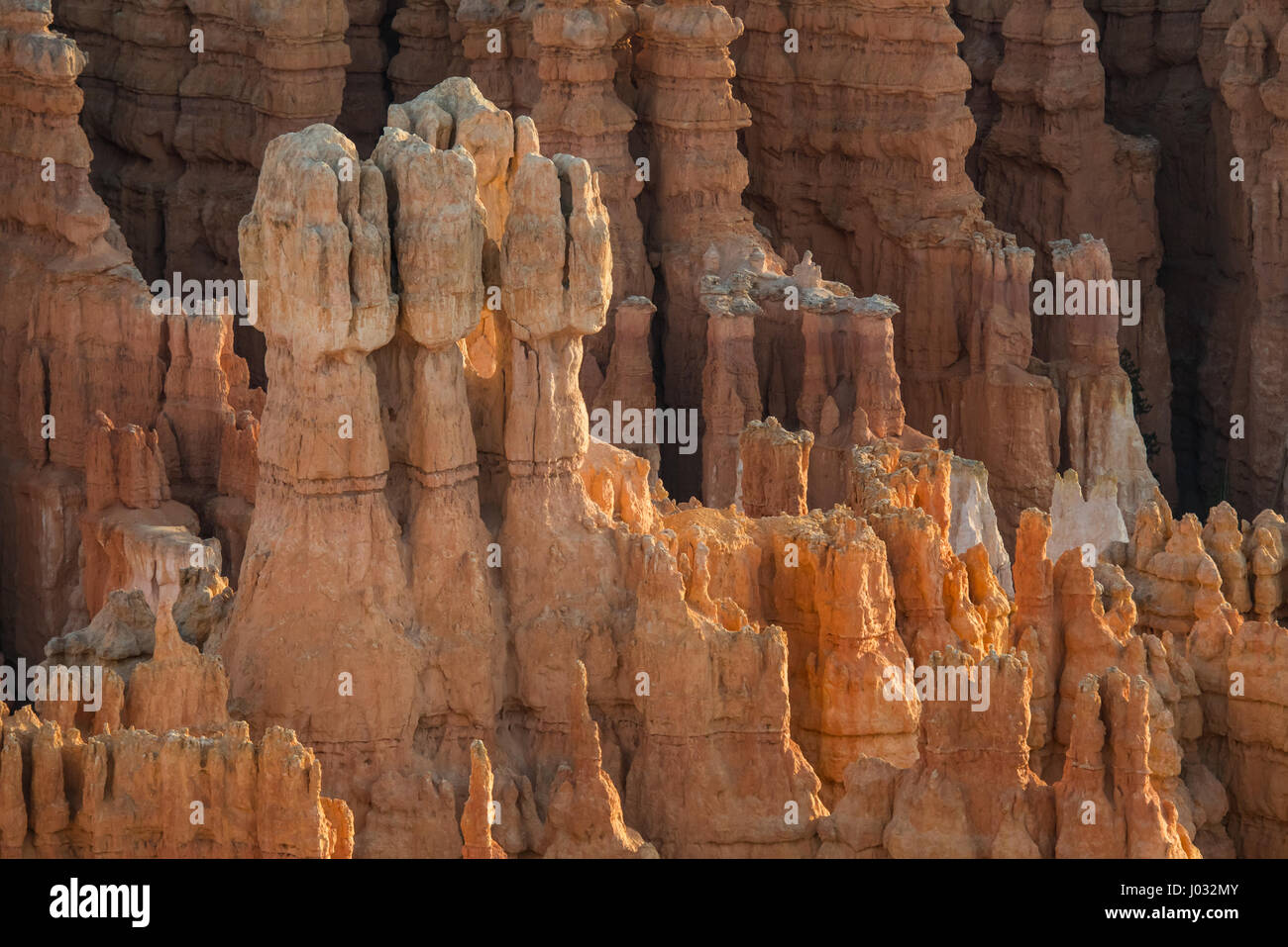 Dominant Rock Formation Among Hoodoos in Bryce Stock Photo - Alamy