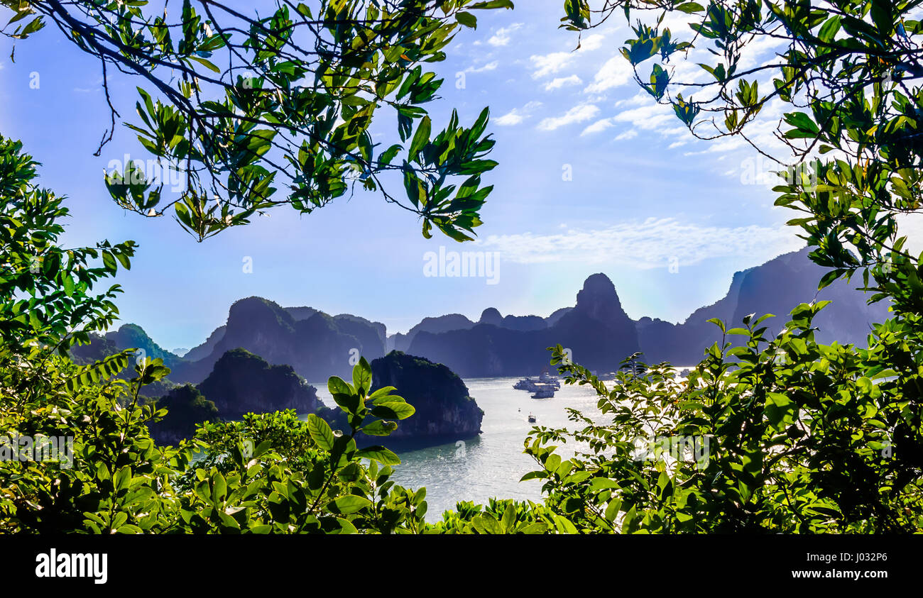 View on Limestone Islands by Halong bay in Vietnam Stock Photo - Alamy