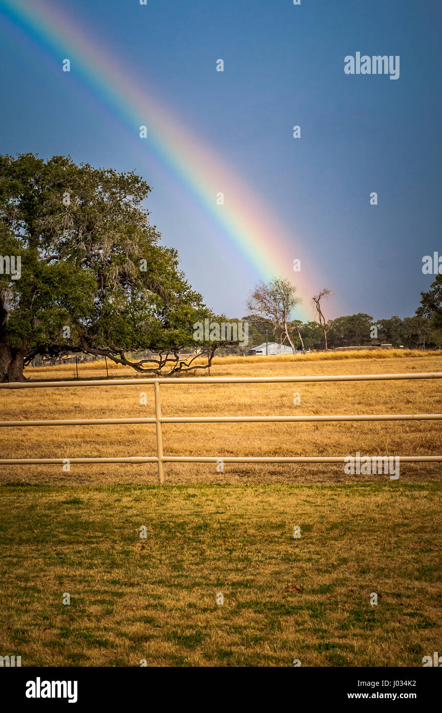 Rainbow over oak tree in hi-res stock photography and images - Alamy