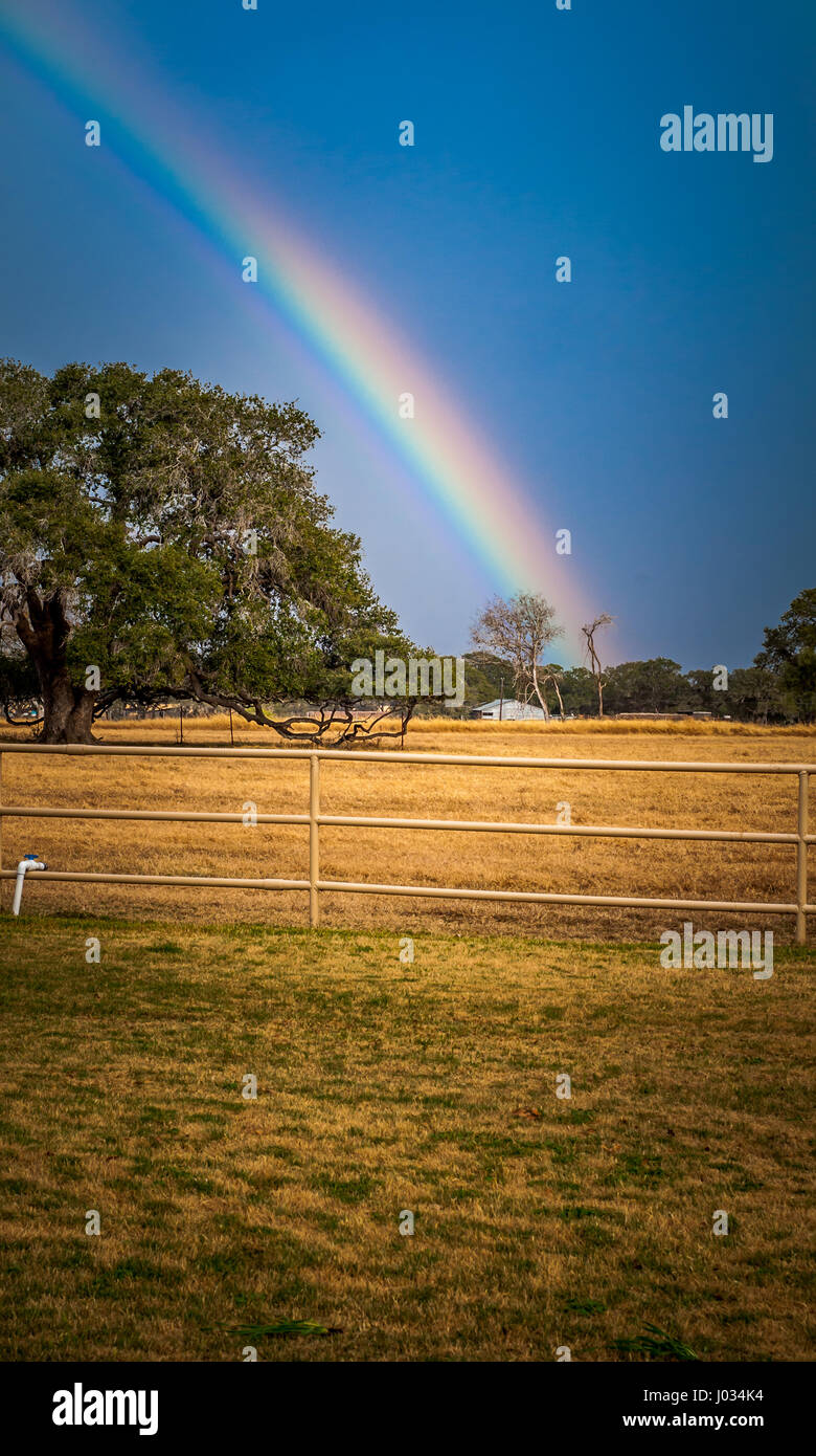 Rainbow over oak tree in hi-res stock photography and images - Alamy