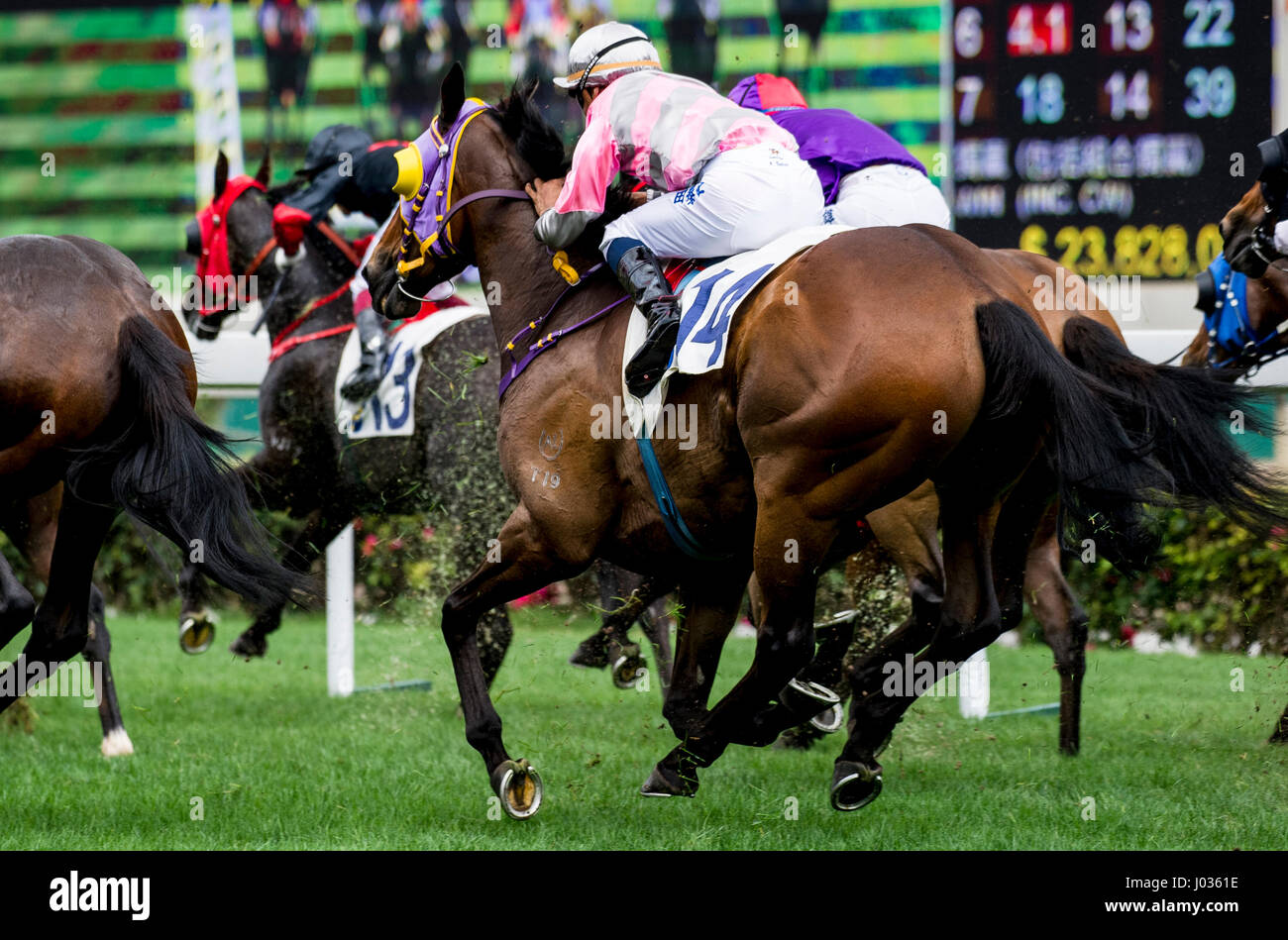 Horse racing hong kong hi-res stock photography and images - Alamy