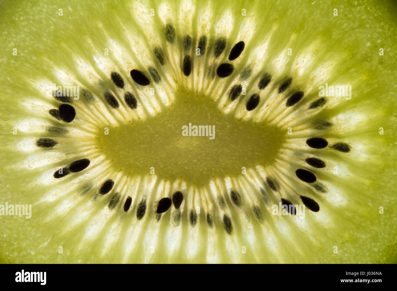 Closeup for sliced of fresh kiwi fruit texture background Stock Photo ...