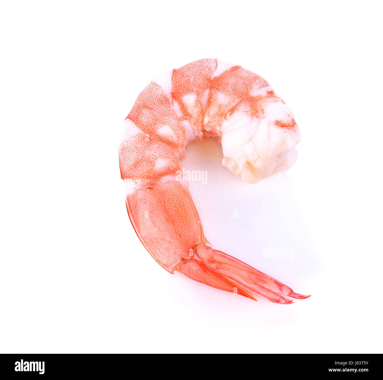 A Shrimp isolated on white background Stock Photo - Alamy