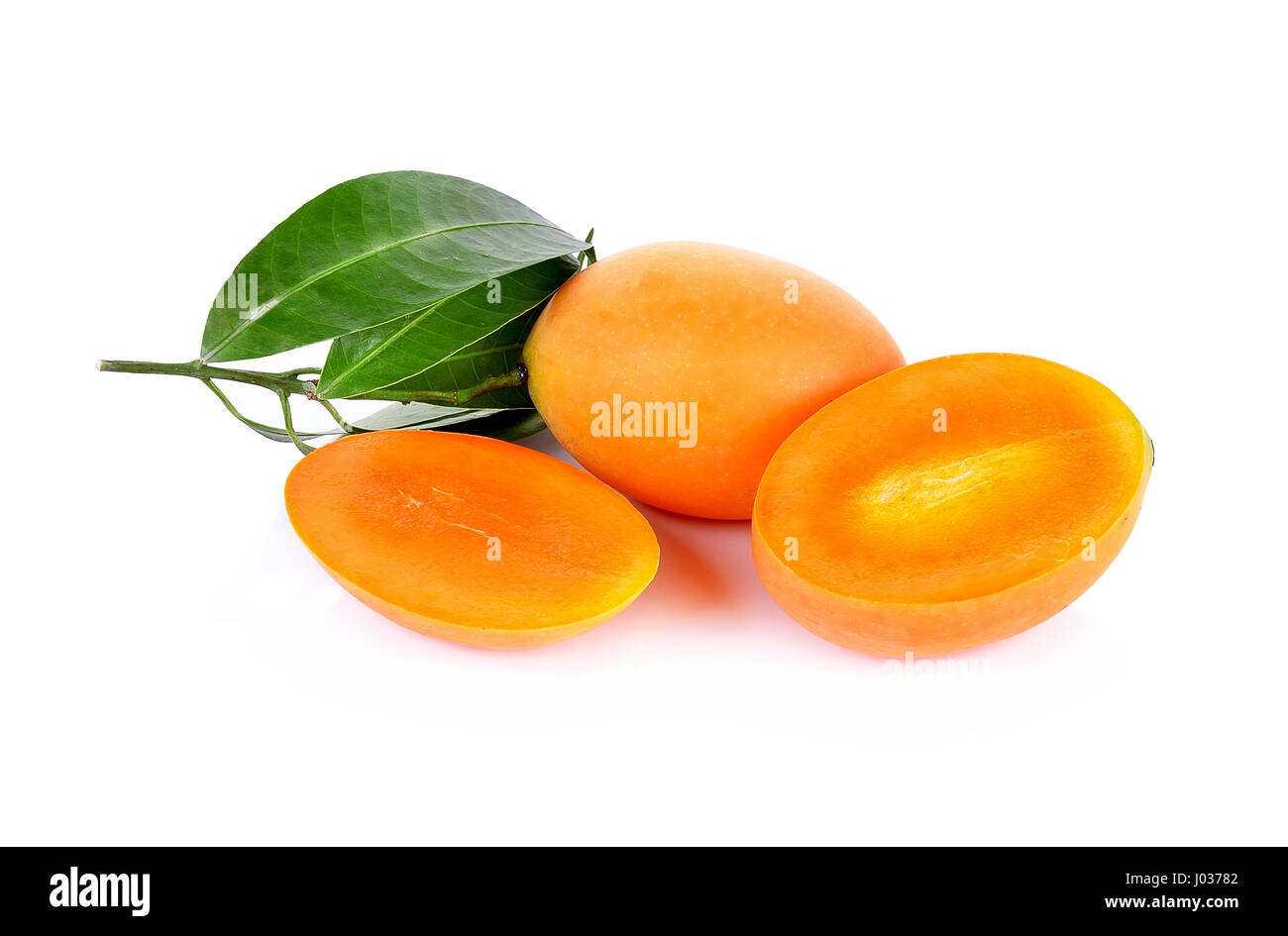 The Marian plum fruit isolate on white background(Mayongchid Maprang ...