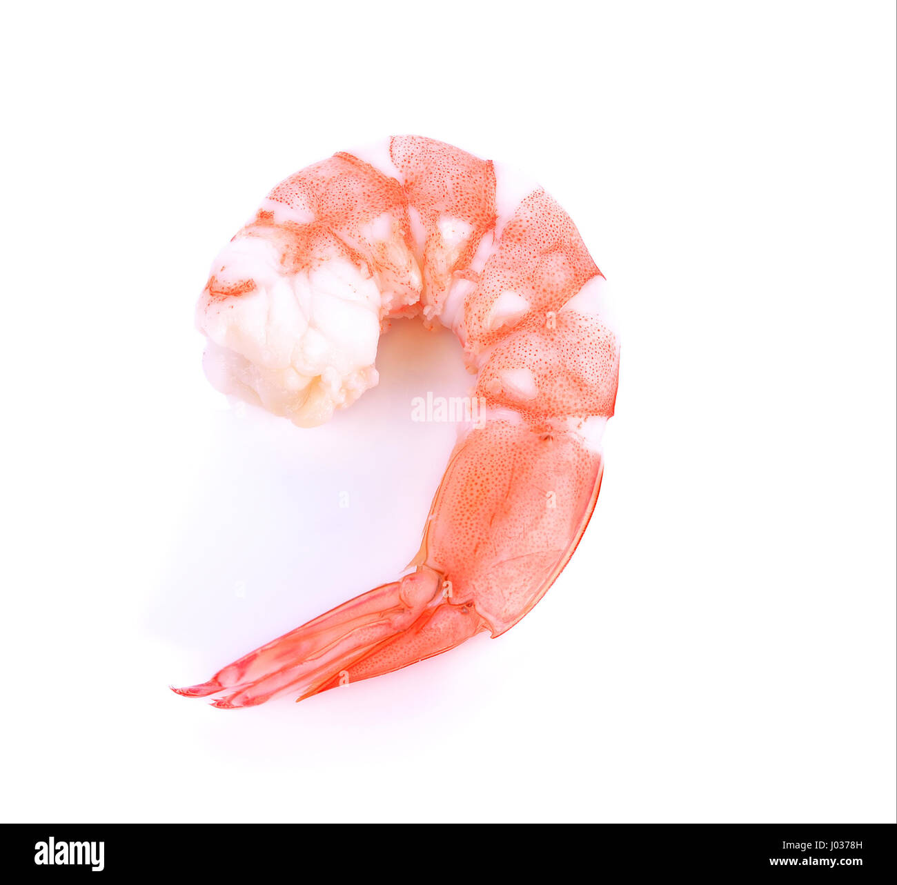 A Shrimp isolated on white background Stock Photo - Alamy