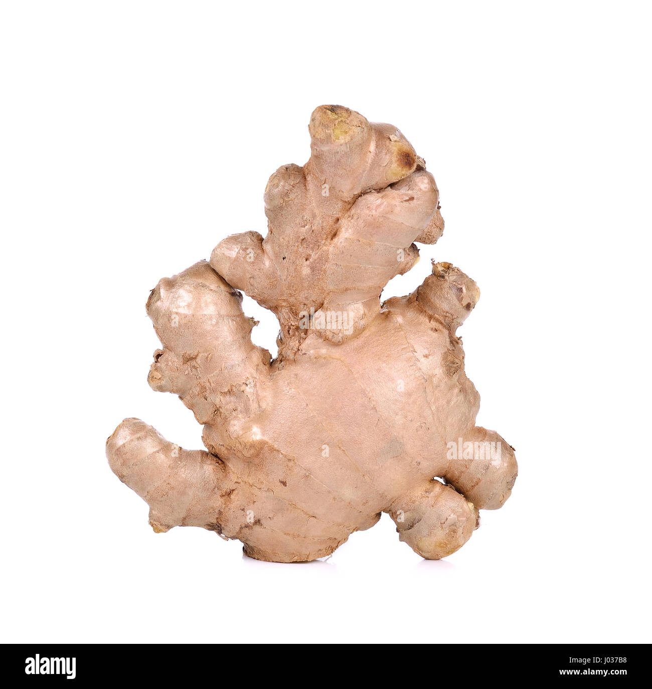 fresh ginger on isolated white background Stock Photo - Alamy