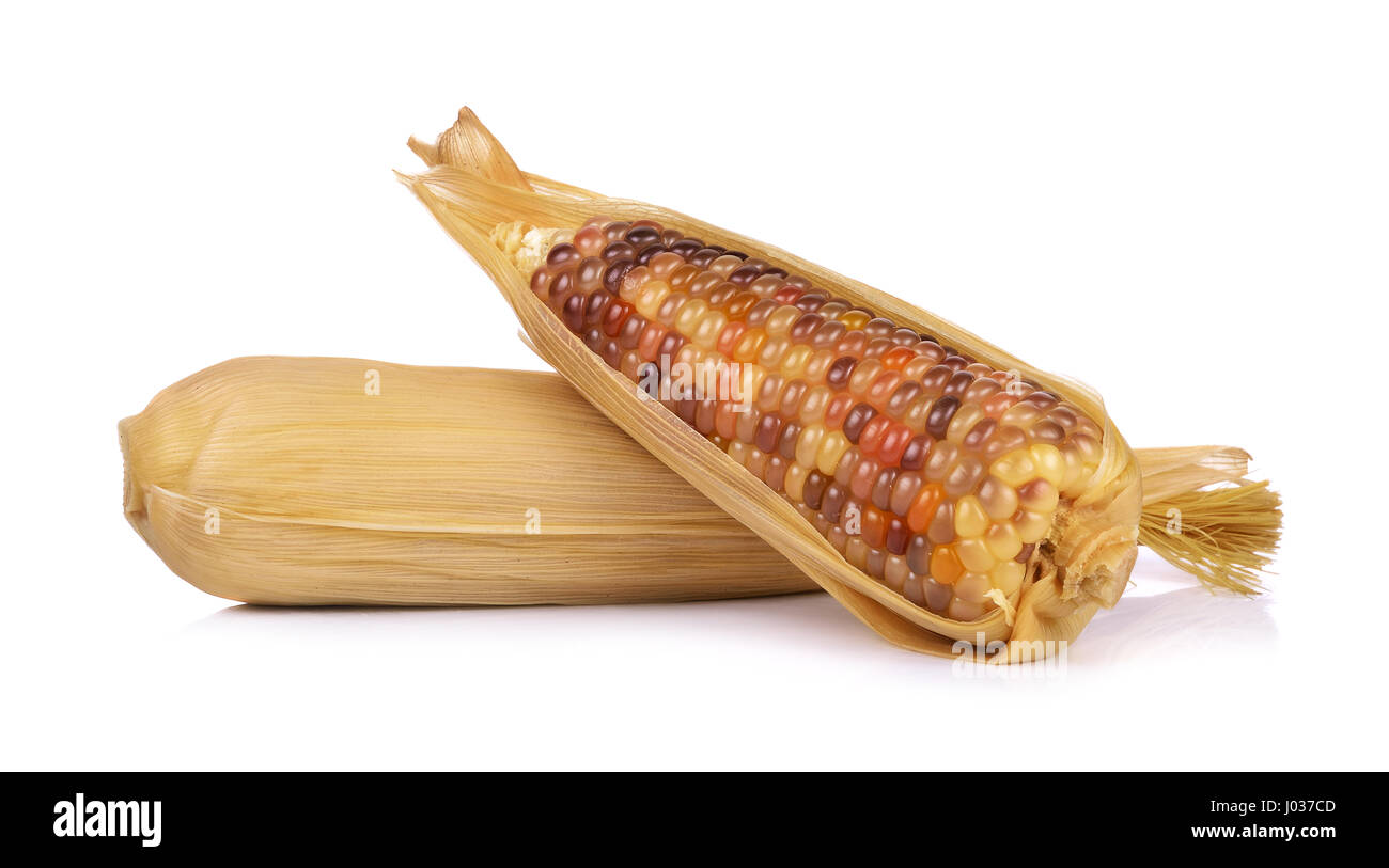 Thai corn isolated on white background Stock Photo - Alamy