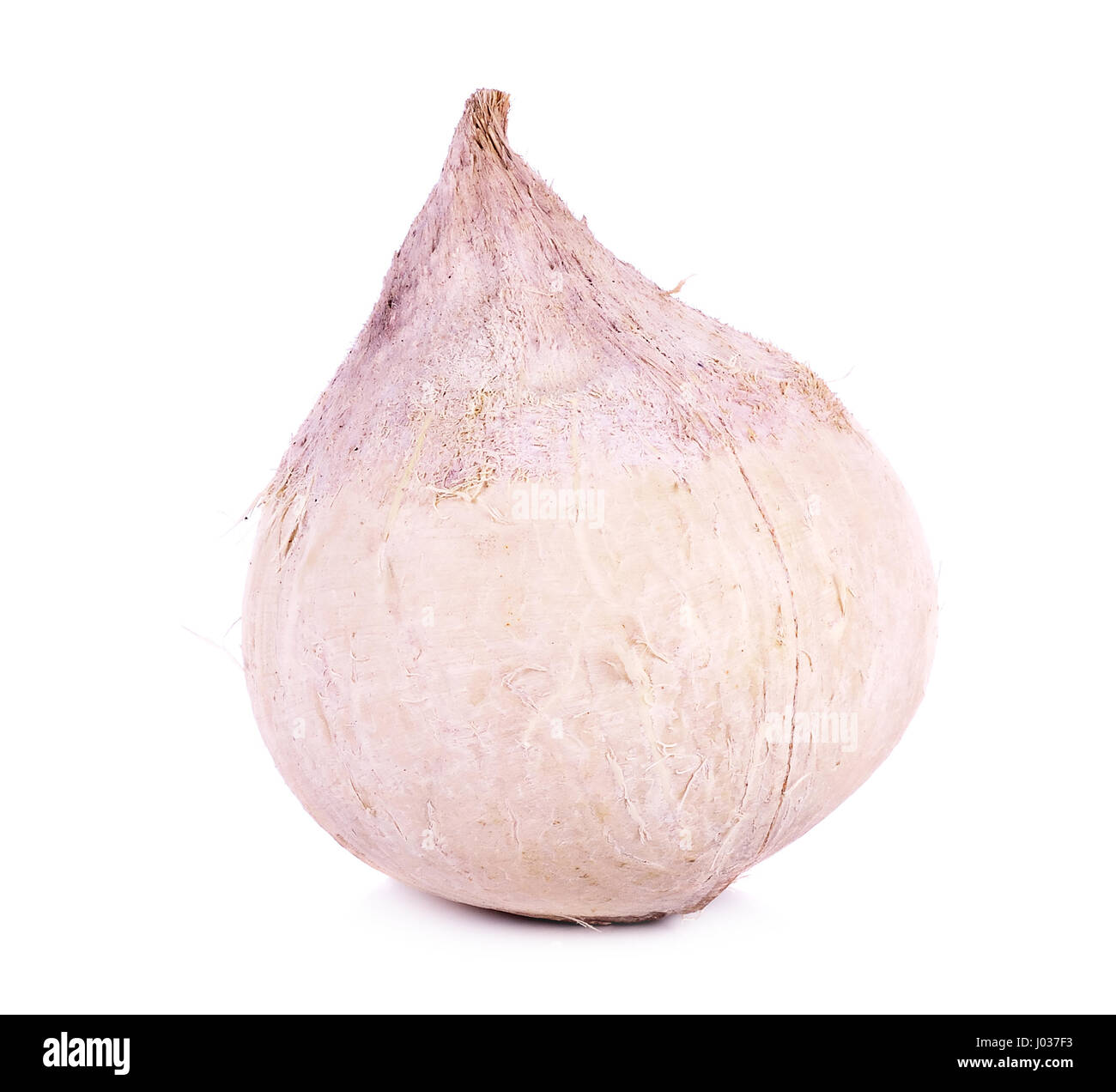 Inside burn coconur isolated on white background Stock Photo - Alamy