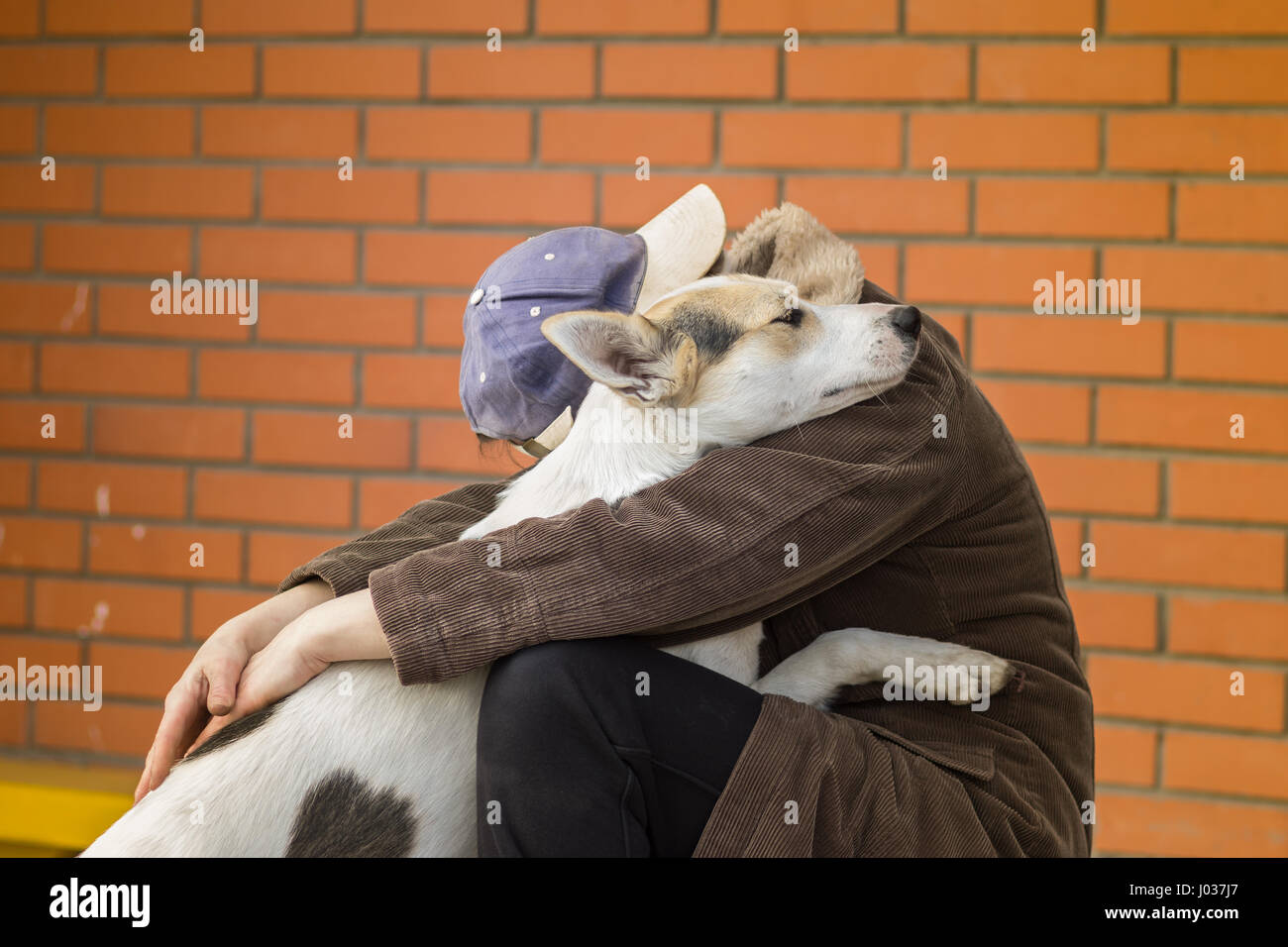 Cross-breed of hunting and northern dog hugs master showing how it ...