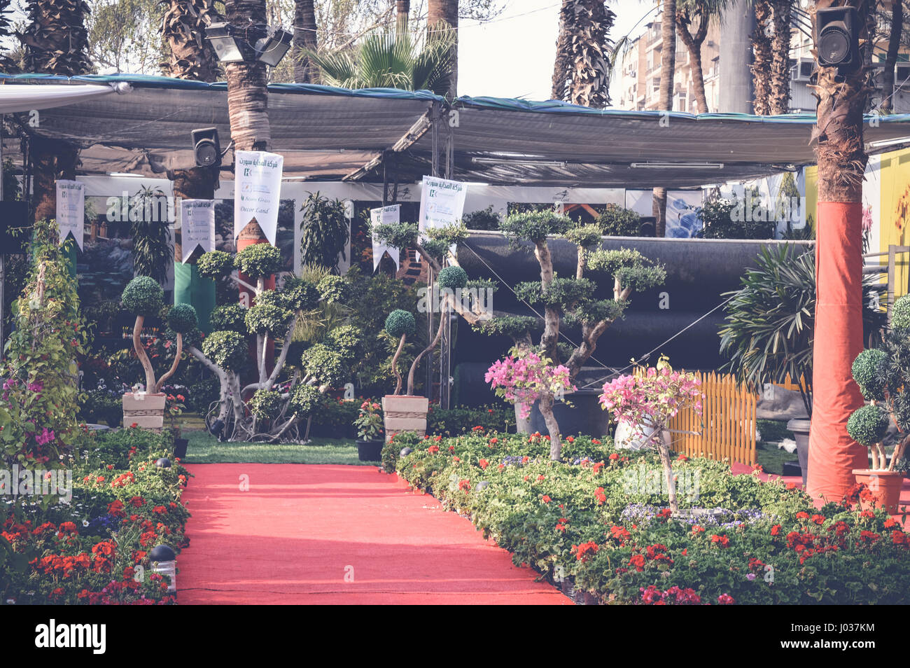 Egypt red carpet hi-res stock photography and images - Alamy