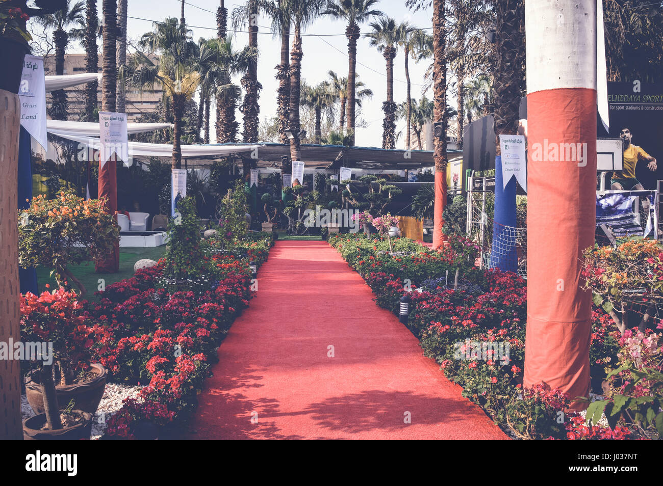 Egypt red carpet hi-res stock photography and images - Alamy