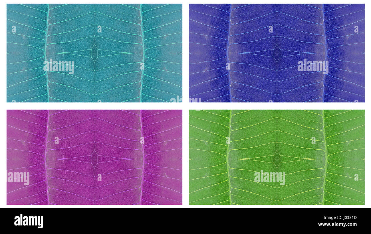 leaves texture background Stock Photo - Alamy