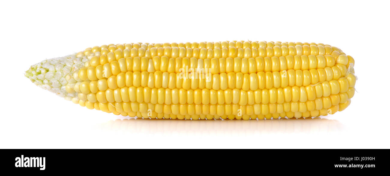 raw corn isolated on the white background Stock Photo - Alamy