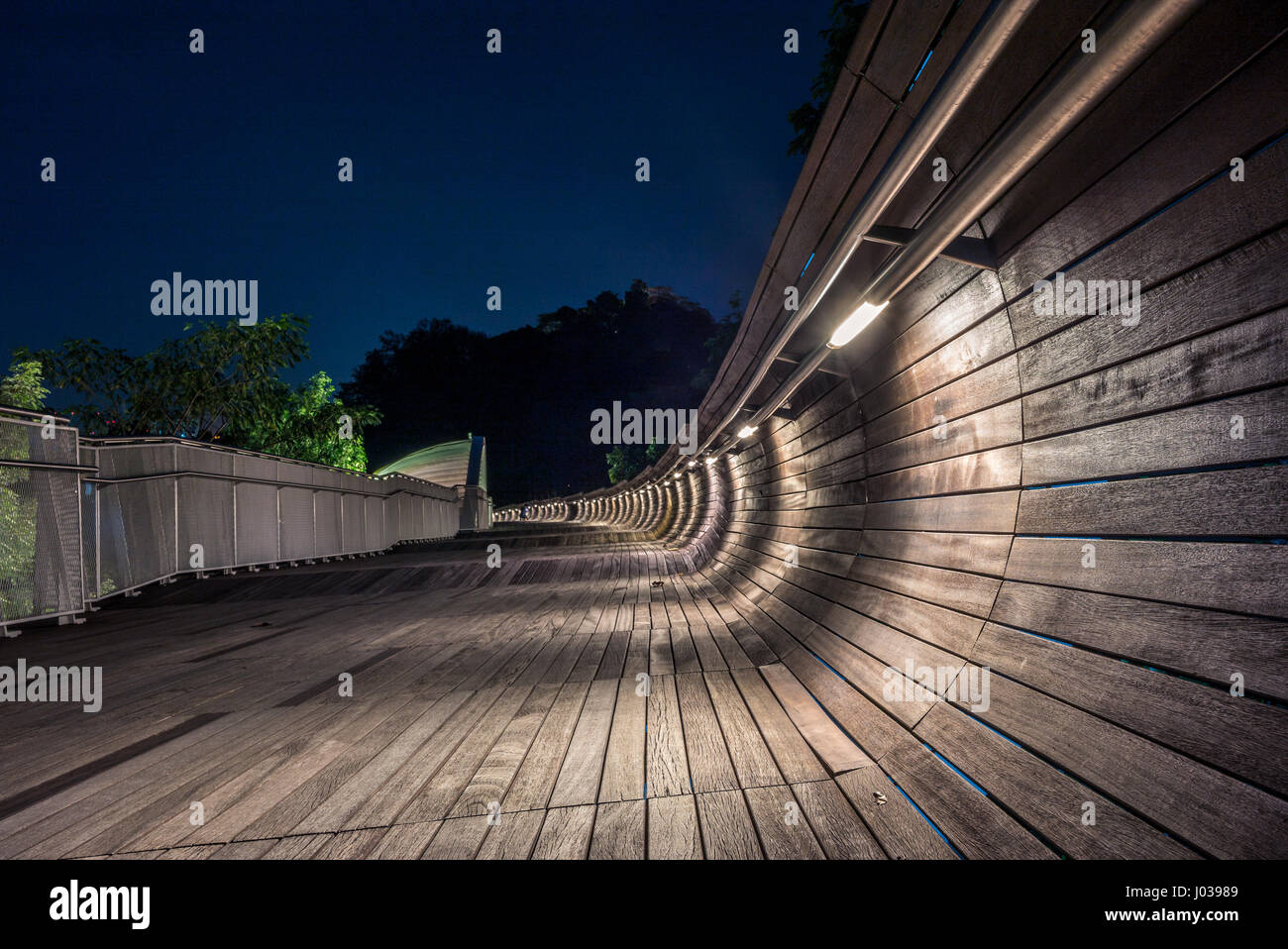 Pedestrian bridge of the Henderson Waves on Mount Faber in Singapore ...