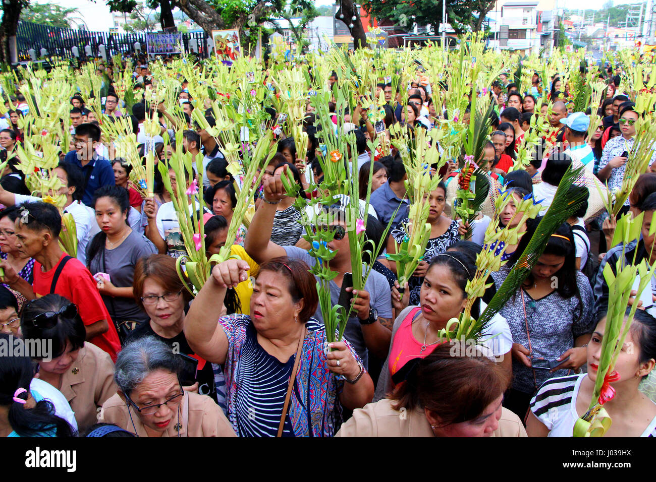 Filipino devotees wave their Palm leaves (palaspas) while receiving a ...