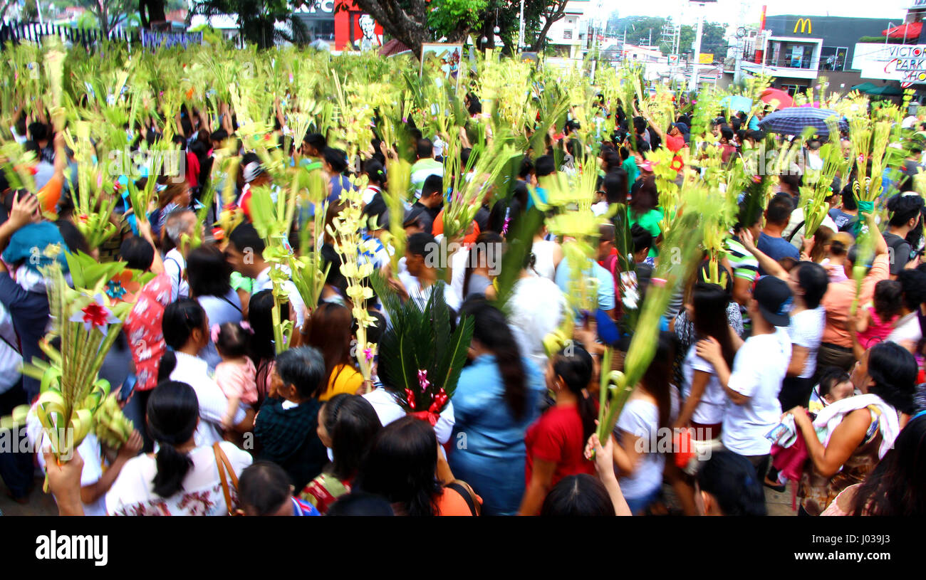 Filipino devotees wave their Palm leaves (palaspas) while receiving a ...