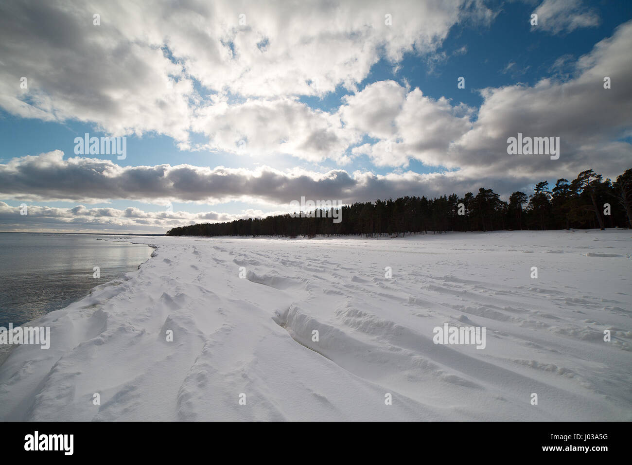 Coast of Baltic sea in winter Stock Photo - Alamy