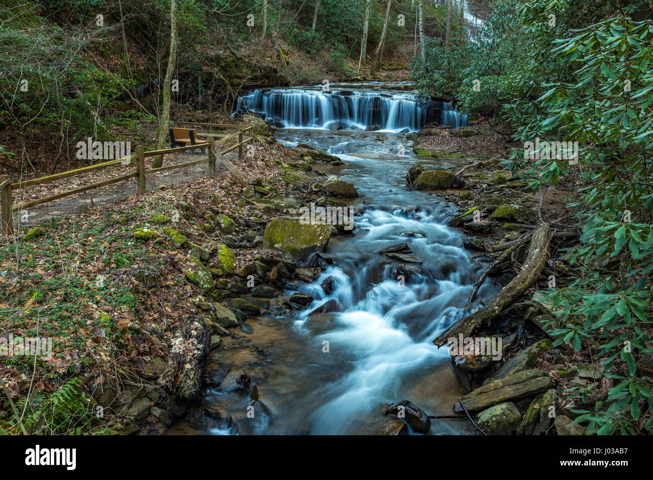 Pearsons Falls is a waterfall in Colt Creek near Saluda, North Carolina ...