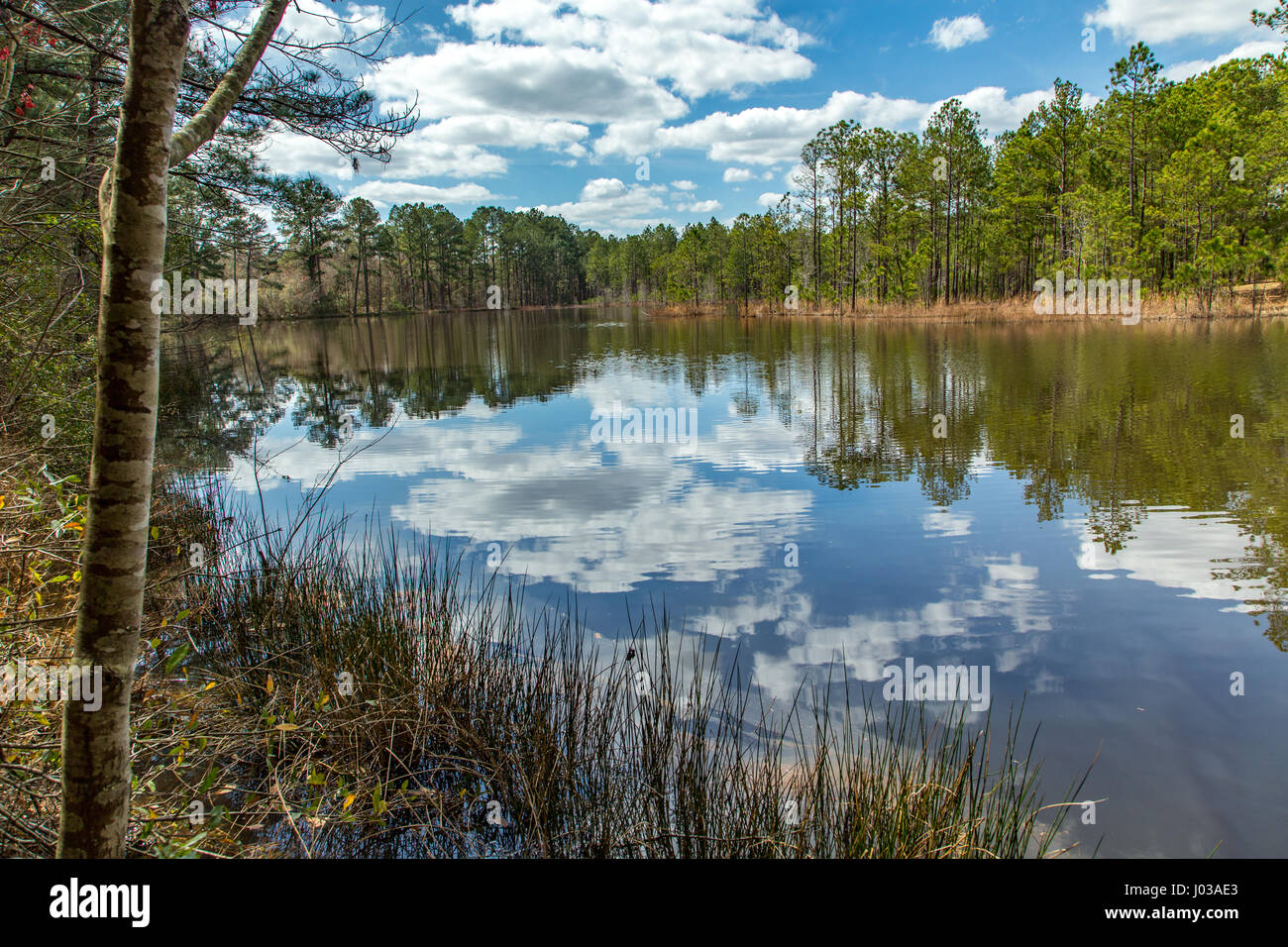 Fish fall road hi-res stock photography and images - Alamy