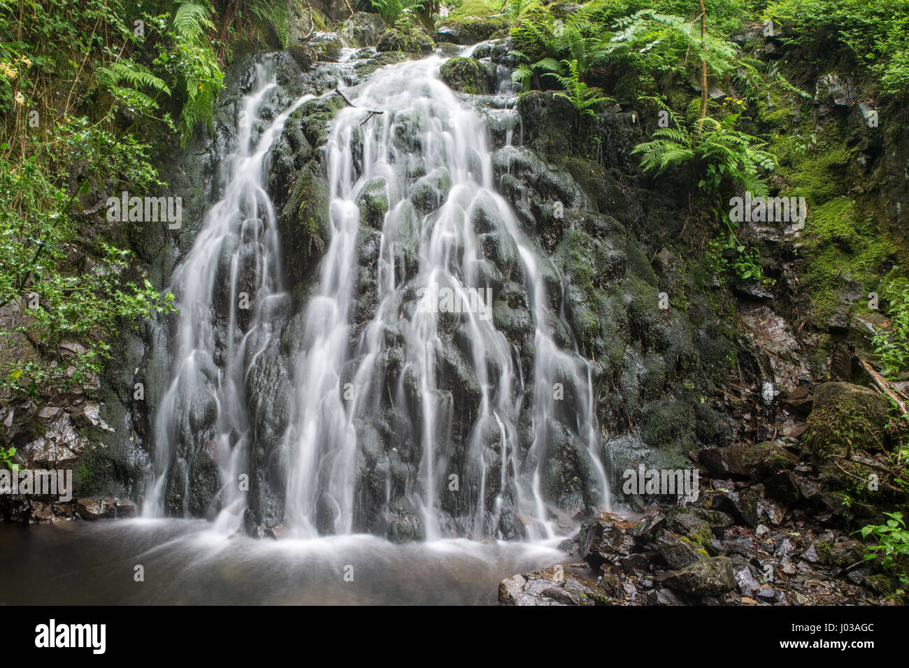 Tom Gill Waterfall Stock Photo - Alamy