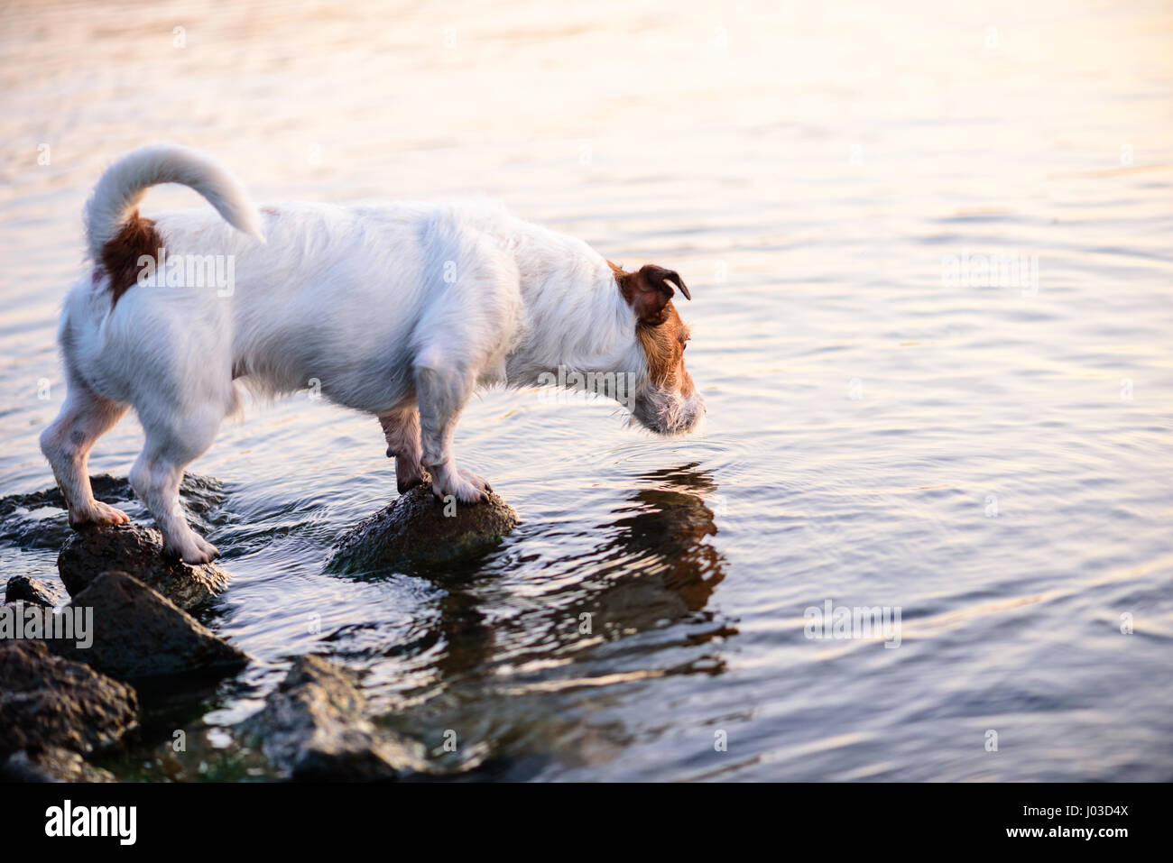 Russell page hi-res stock photography and images - Alamy