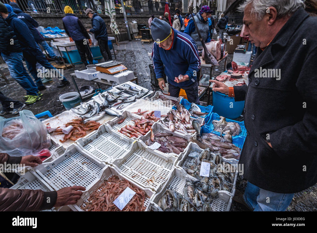 Sea food for sale on famous old fish market called La Pescheria in ...