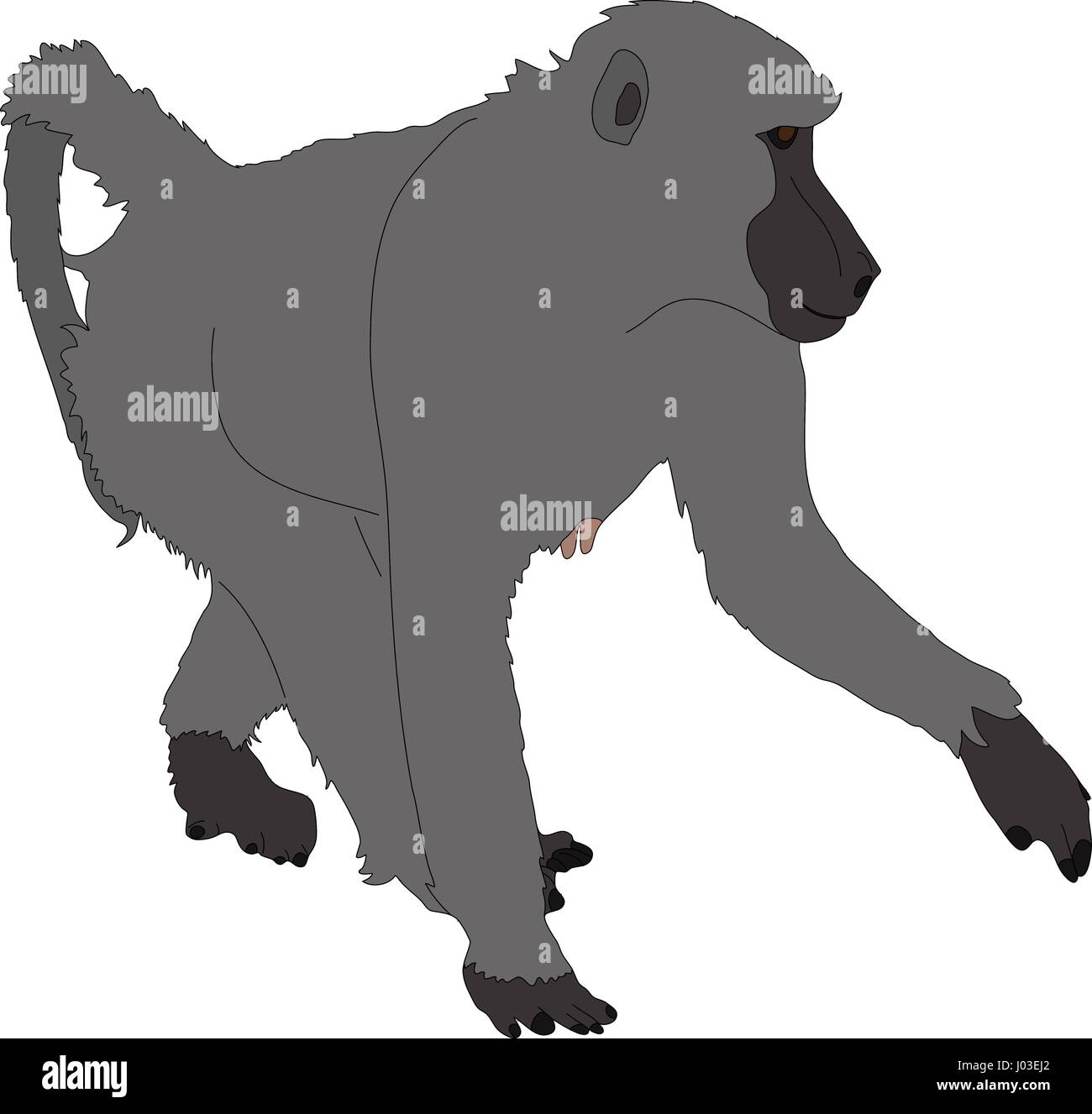 Hand drawn ape hi-res stock photography and images - Alamy