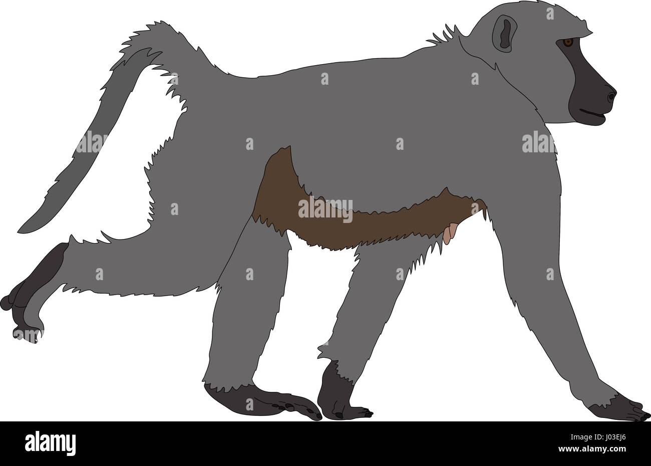 hand drawn portrait of a wild baboon Stock Vector Image & Art - Alamy