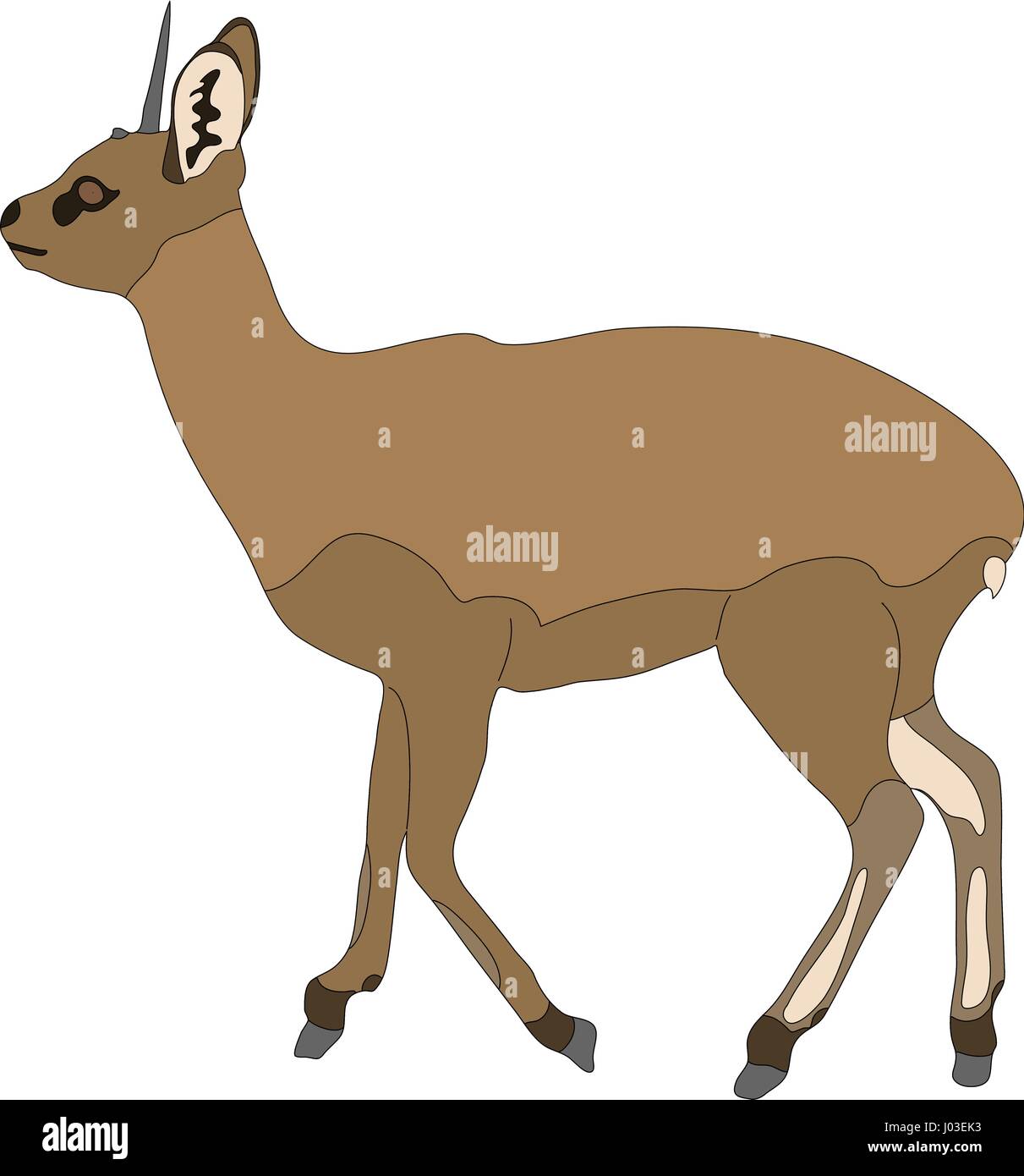 Klipspringer namibia Stock Vector Images - Alamy