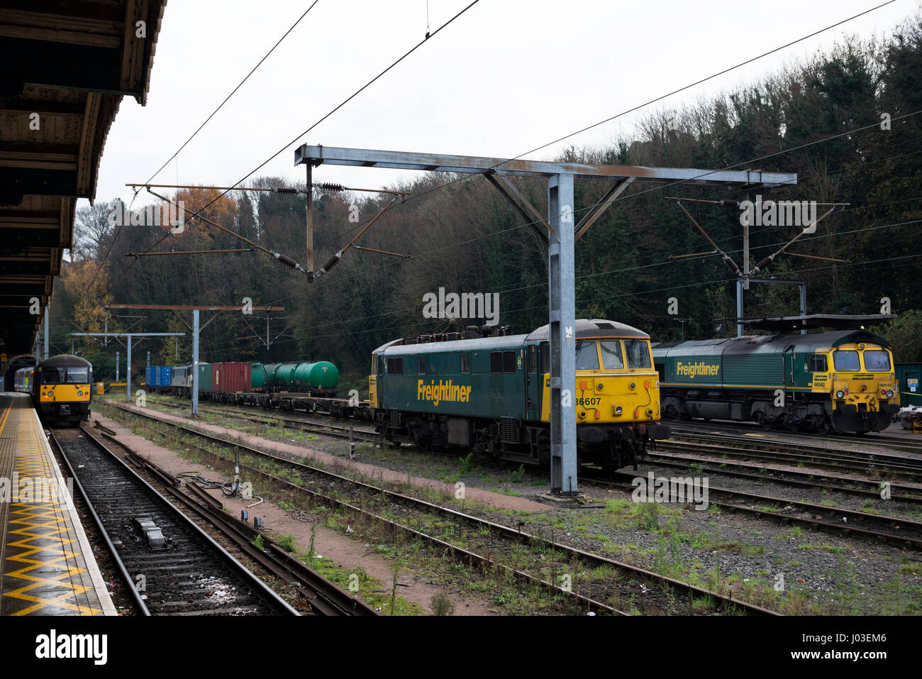 Freightliner terminal, Ipswich, Suffolk, UK Stock Photo - Alamy