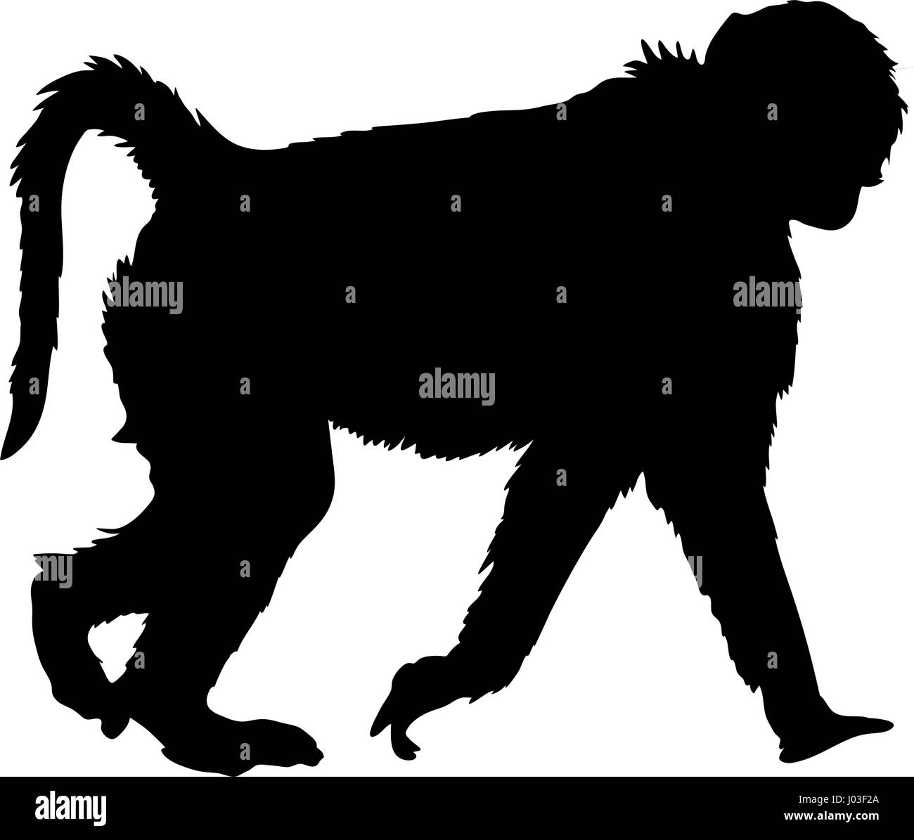 Hand drawn silhouette of a wild baboon Stock Vector Image & Art - Alamy