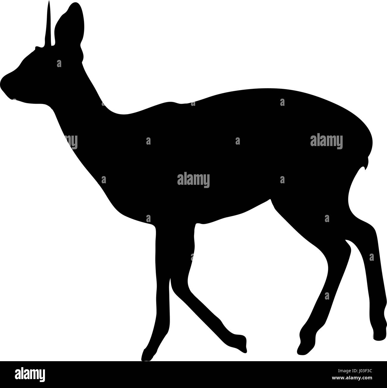 Klipspringer silhouette hi-res stock photography and images - Alamy