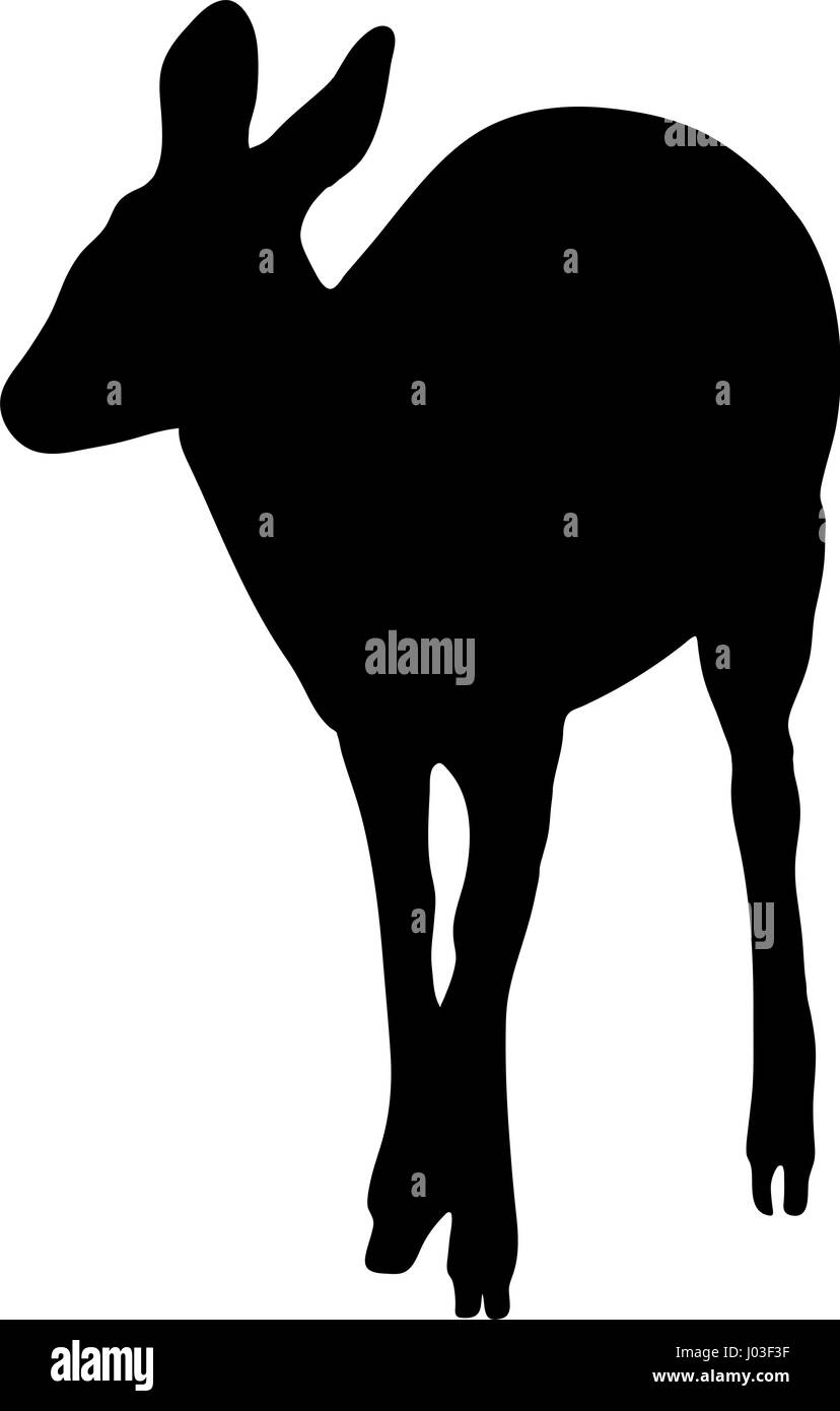 Hand drawn silhouette of a wild klipspringer antelope Stock Vector ...