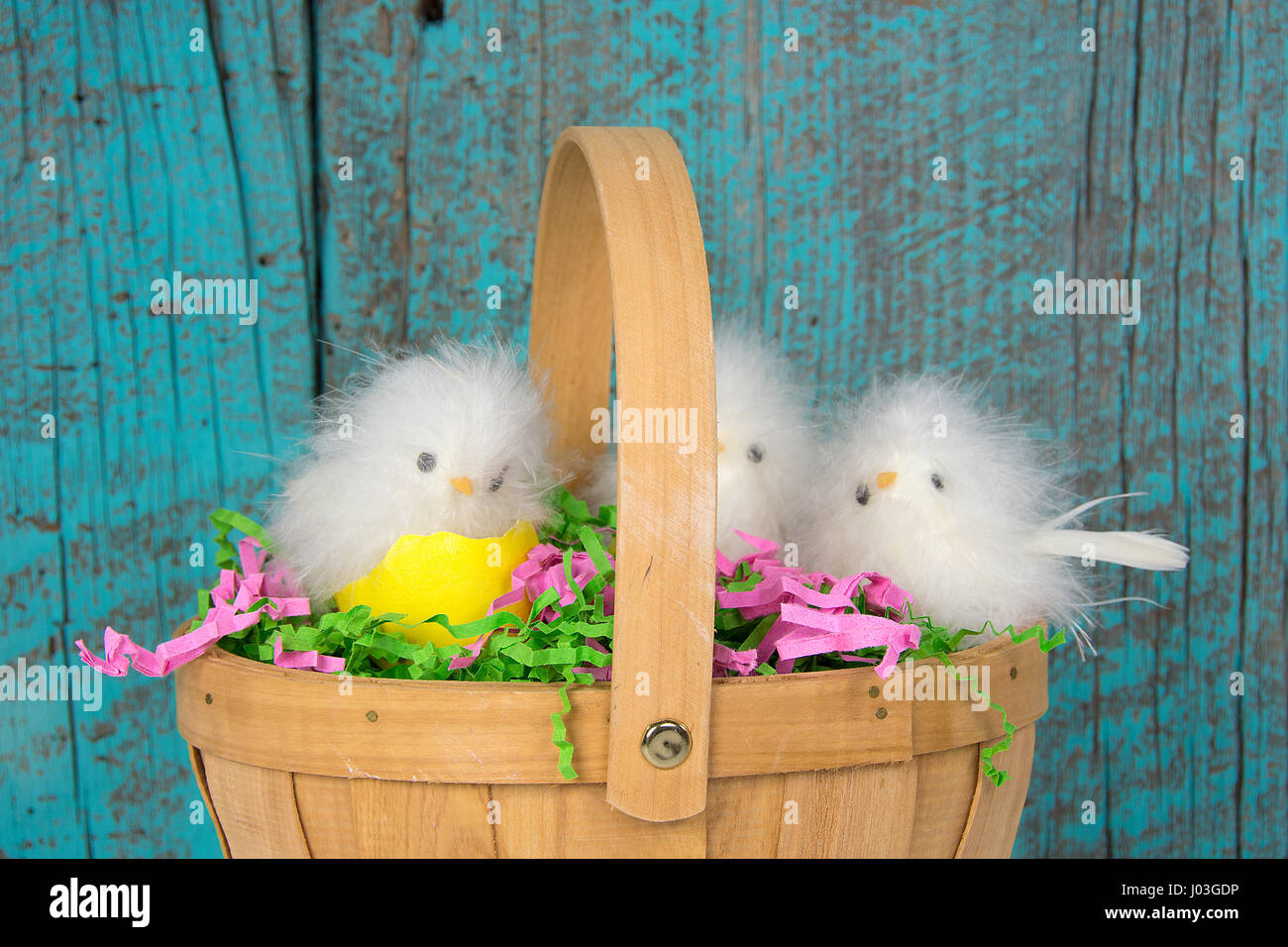 Fluffy pink chicks hi-res stock photography and images - Alamy