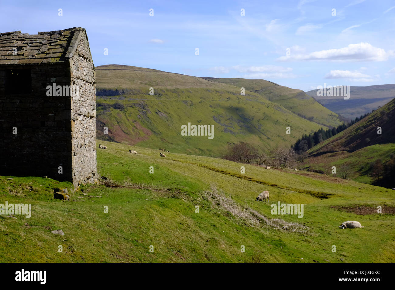Traditional farmers barn in Swaledale, Yorkshire Dales, UK Stock Photo ...
