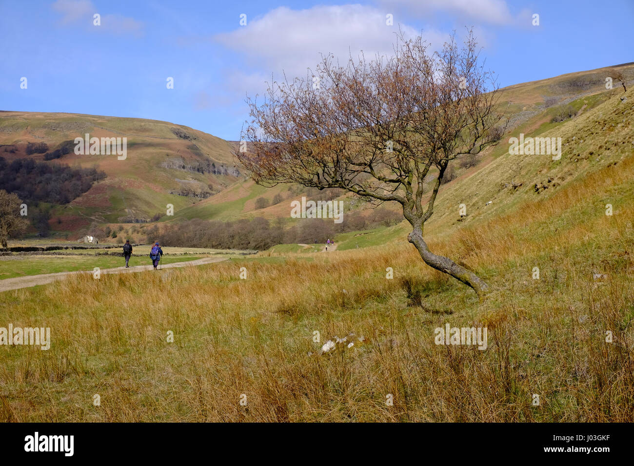 Swaledale Valley, Yorkshire Dales, UK Stock Photo - Alamy
