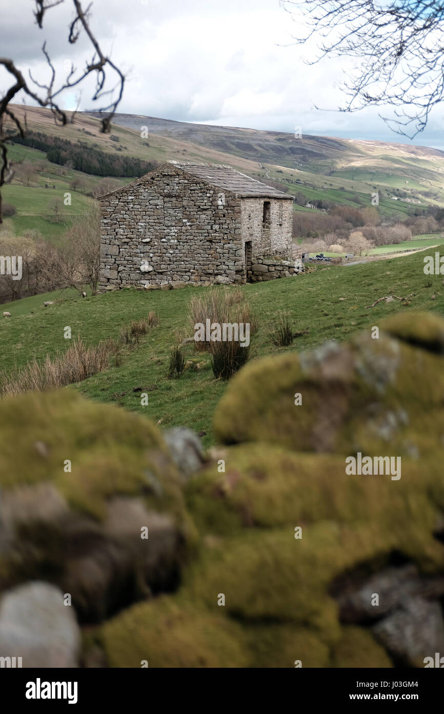 Traditional farmers barn in Swaledale, Yorkshire Dales, UK Stock Photo ...