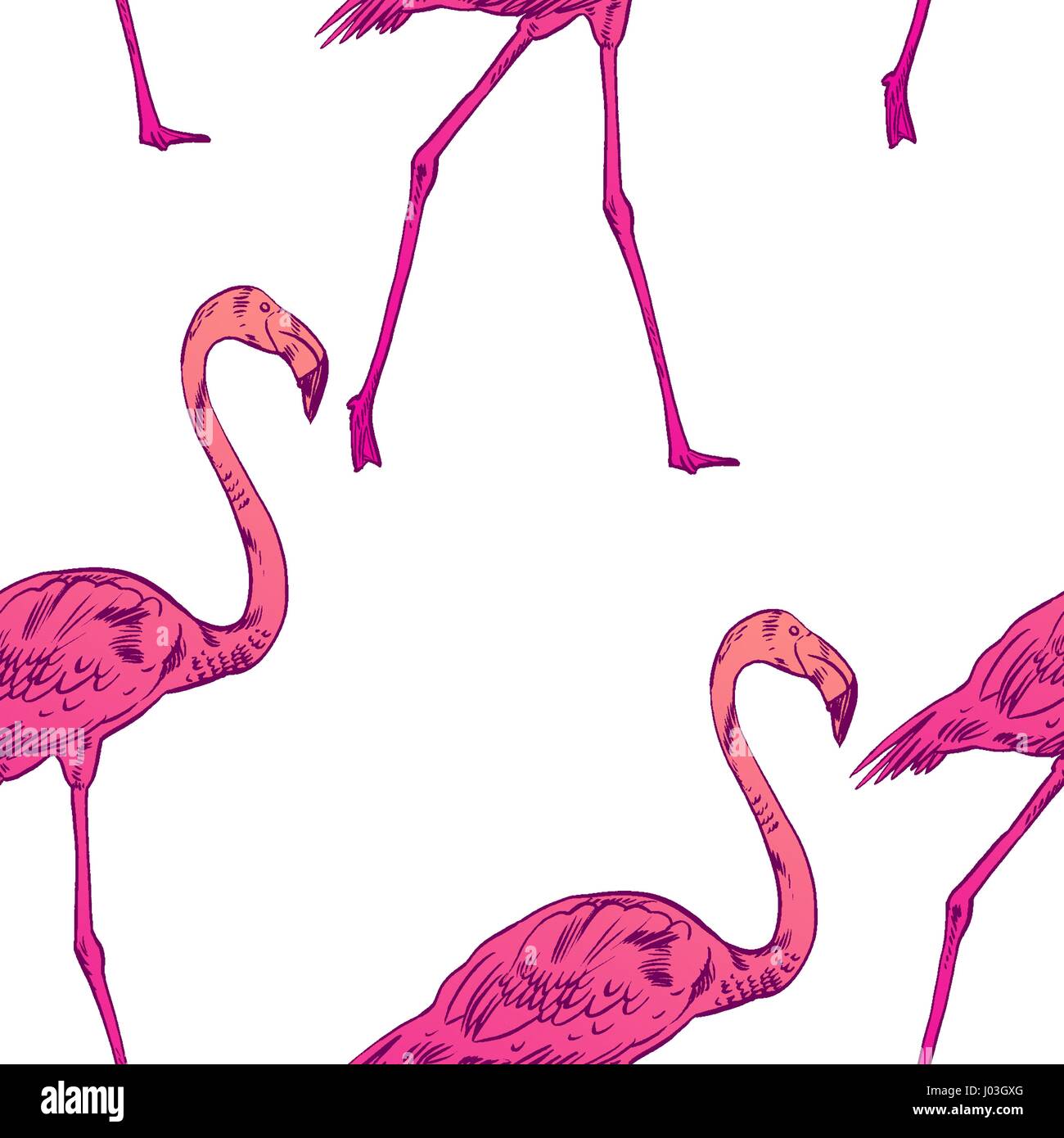 Pink flamingo vector illustration Stock Vector Image & Art - Alamy