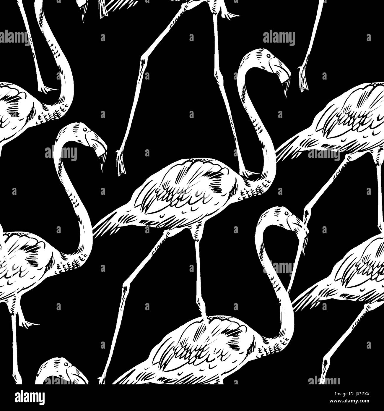 Pink flamingo vector illustration Stock Vector Image & Art - Alamy