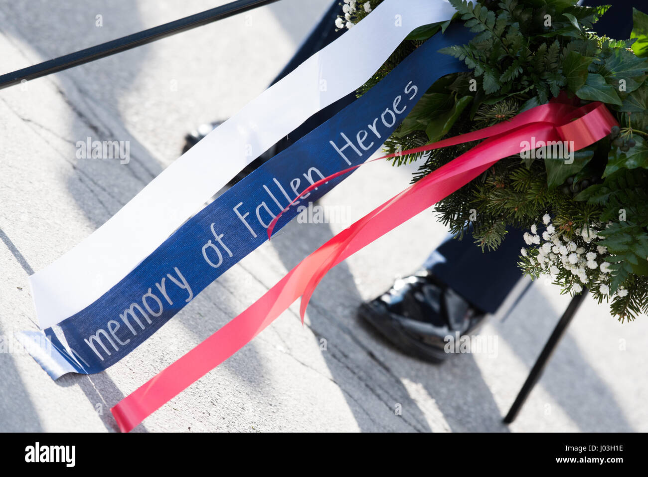 American Honor Guard at the ceremony for the fallen US fighter plane in ...