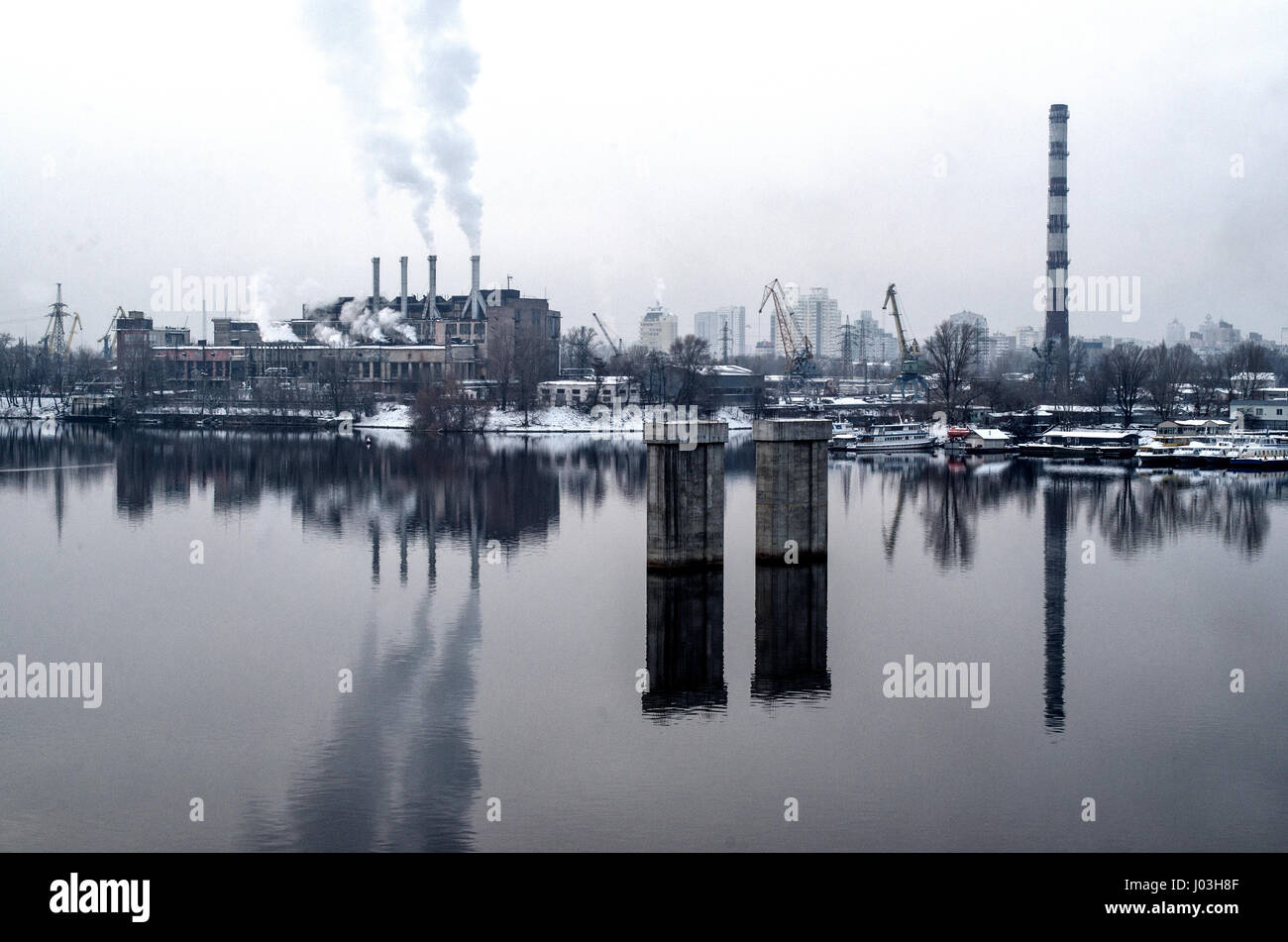 Pollution, plant reflection in the water. Cityscape in grey colors ...