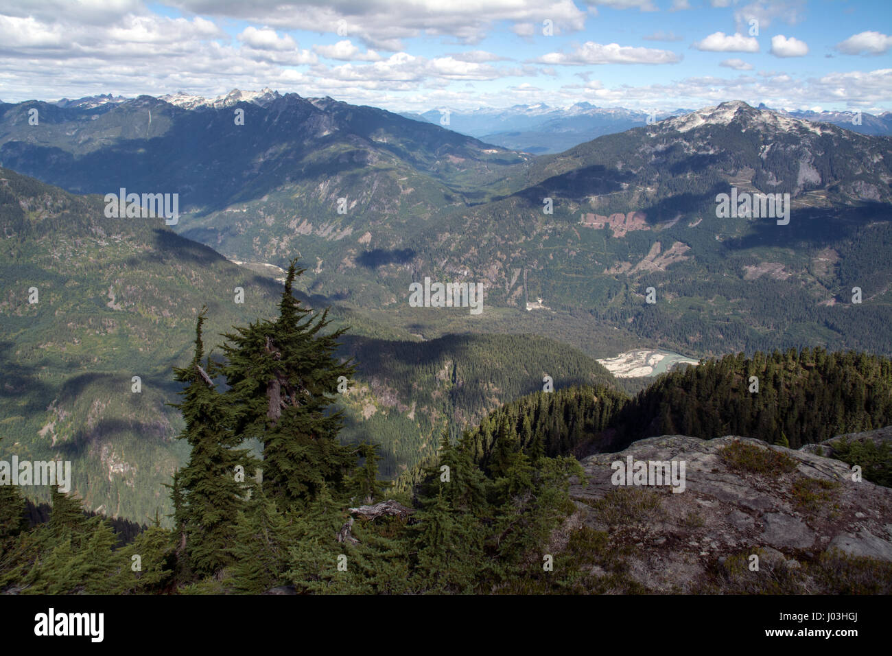 Sub alpine hi-res stock photography and images - Alamy