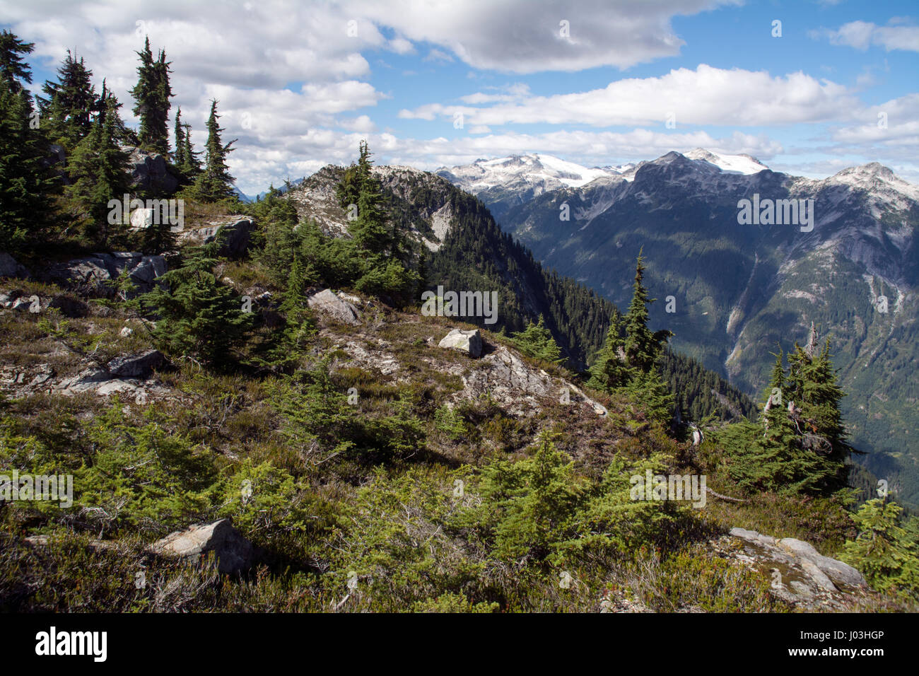 Sub Alpine Stock Photos & Sub Alpine Stock Images - Alamy