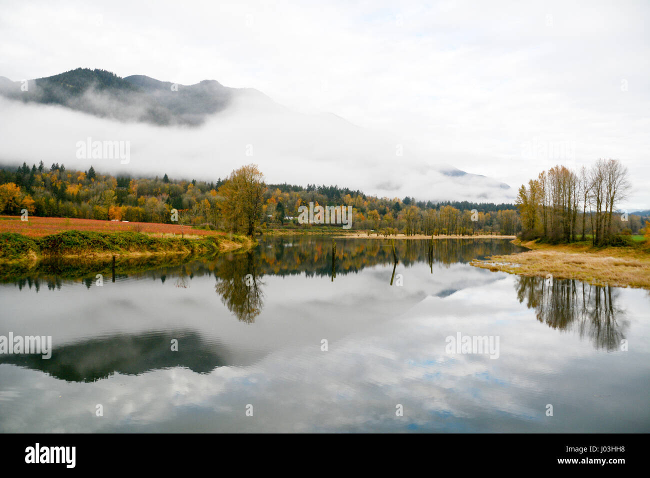 A veil of mist hangs over an autumn forest in the Fraser River Valley ...