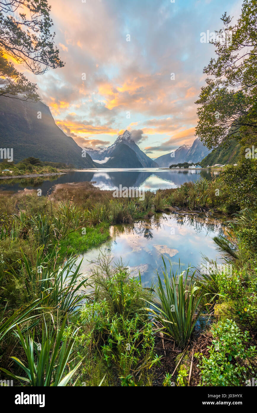Milford sound hi-res stock photography and images - Alamy