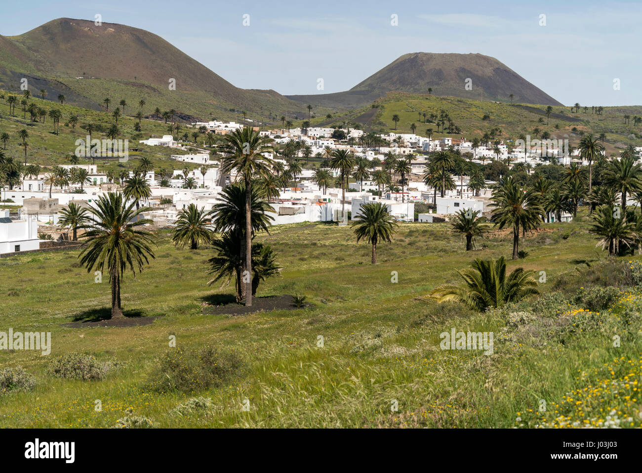 Valley of thousand palms lanzarote hi-res stock photography and images ...
