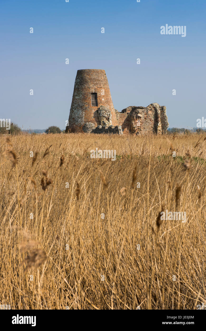 Ruins of a windmill, remains of the Abbey of St. Benet, Ludham, Norfolk ...