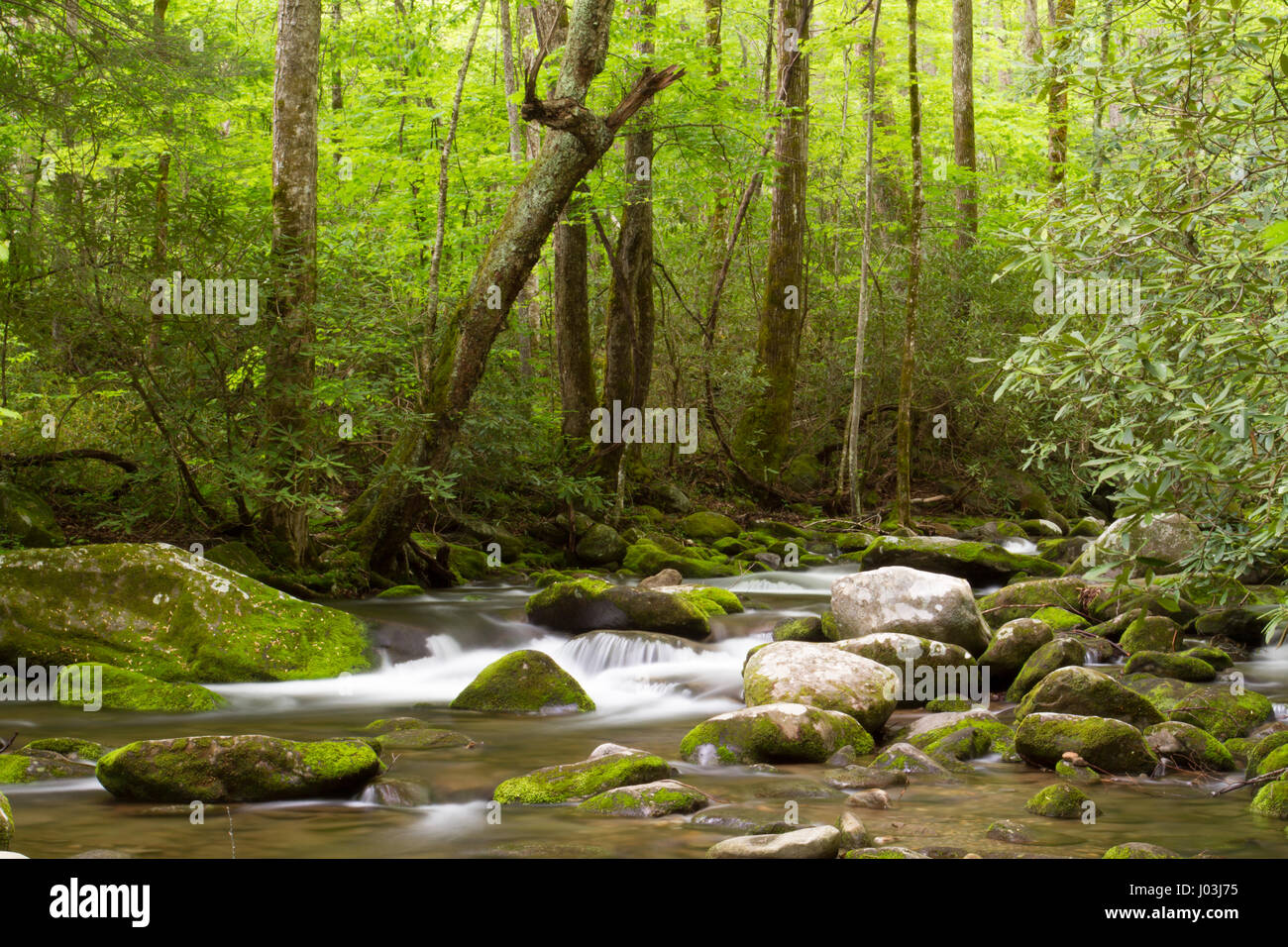 Roaring Forks Motor Trail Stock Photo - Alamy